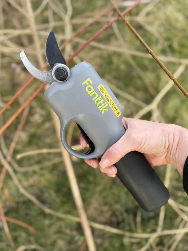 8 Best Electric Pruners Reviewed 2026 | HGTV