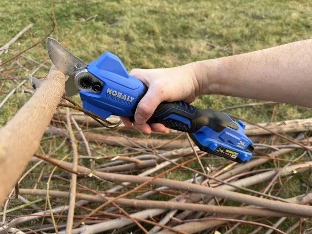 8 Best Electric Pruners Reviewed 2026 | HGTV