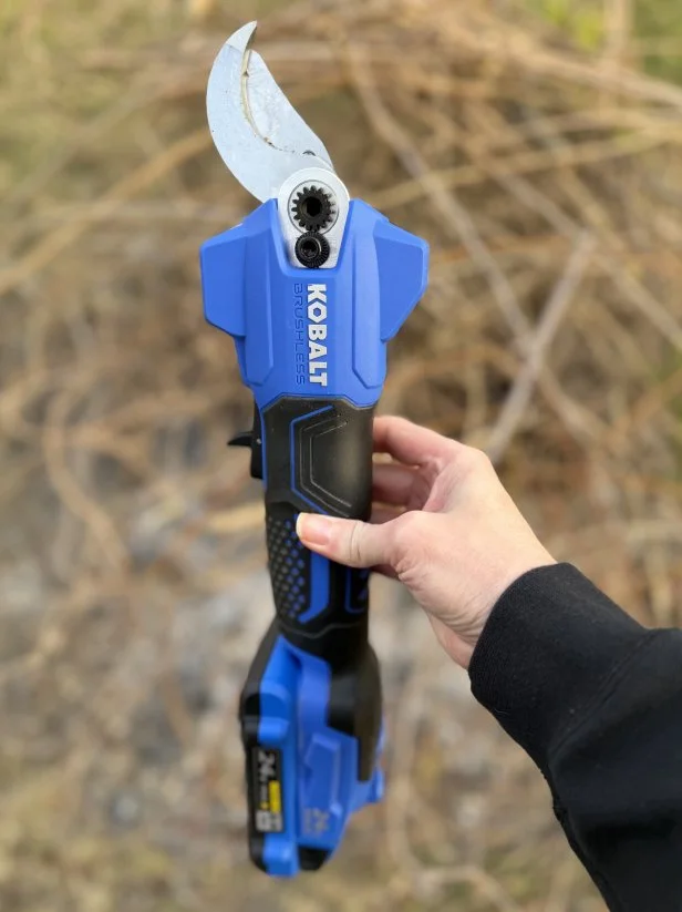 8 Best Electric Pruners Reviewed 2026 | HGTV