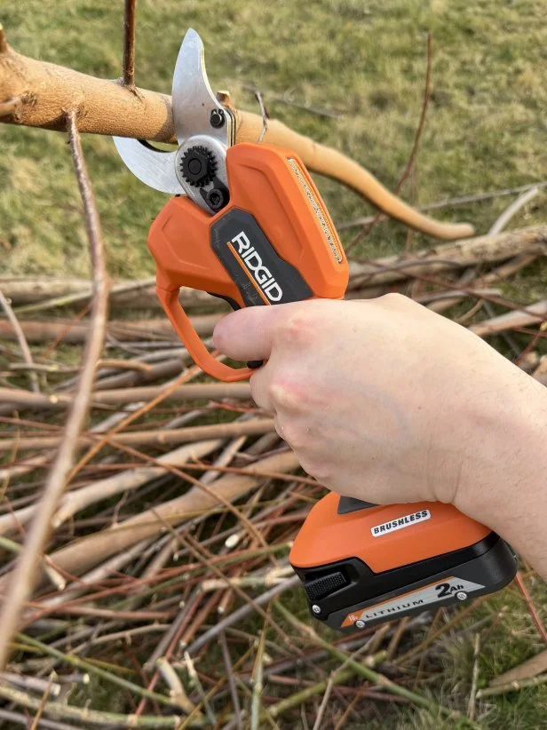 8 Best Electric Pruners Reviewed 2026 | HGTV