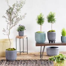 52 Best Pots and Planters in 2022 | HGTV