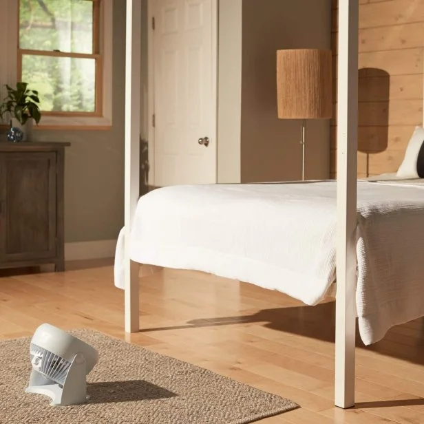 12 Best Cooling Fans in 2024, HGTV Top Picks | HGTV