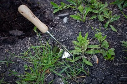 28 Best Garden Tools and Garden Essentials in 2024, HGTV Top Picks | HGTV