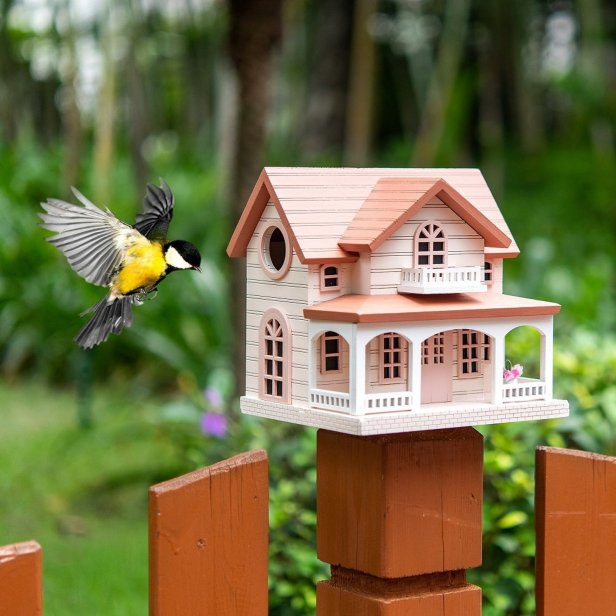 10 Best Birdhouses Under $75 for 2021 | HGTV