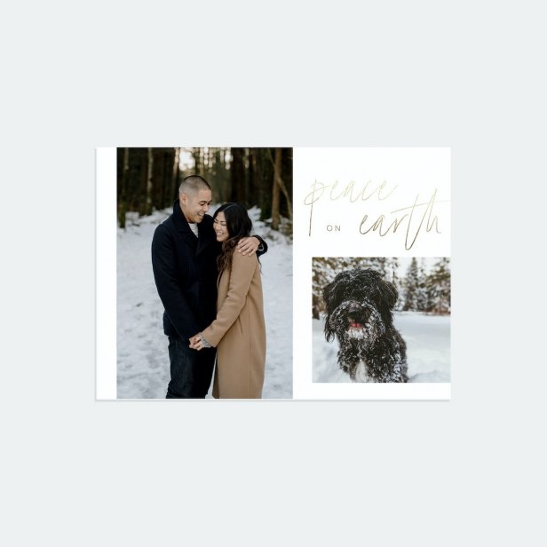 10 Best Christmas Cards and Holiday Card Ideas to Send in 2021 | HGTV