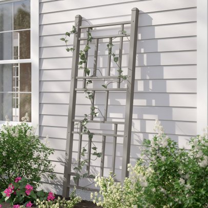 11 Best Trellis Ideas in 2023 | HGTV