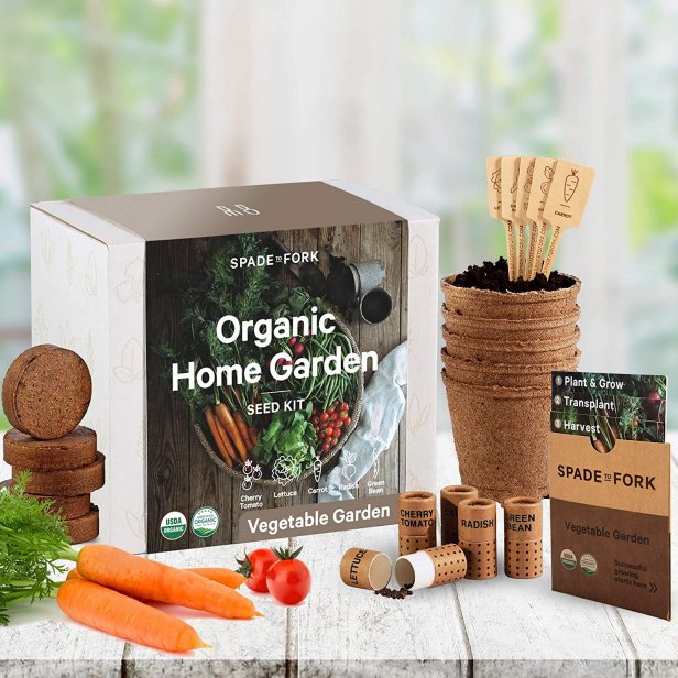 10 Best Garden Starter Kits on Amazon 2024 | HGTV
