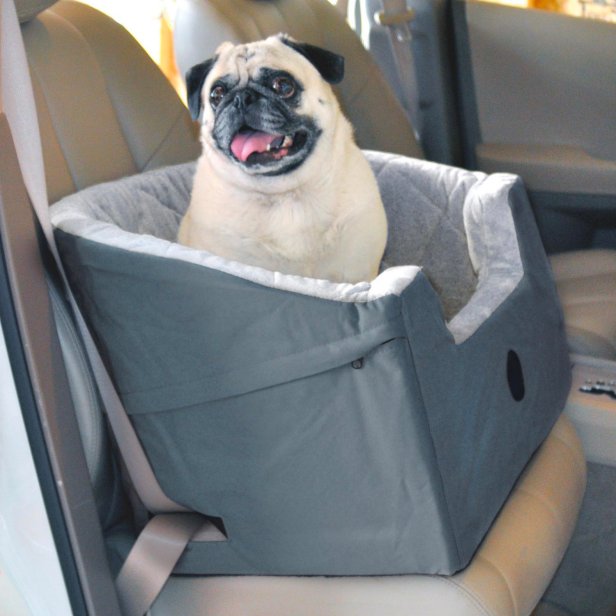 Best Dog Car Seats and Harnesses for 2021 | HGTV