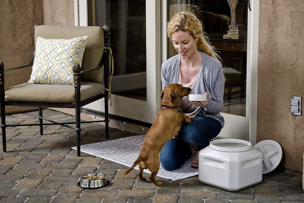 7 Best Dog Food Containers 2023 | HGTV