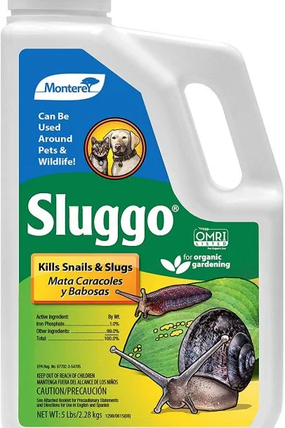 How to Get Rid of Slugs | Controlling Slugs in the Garden | HGTV