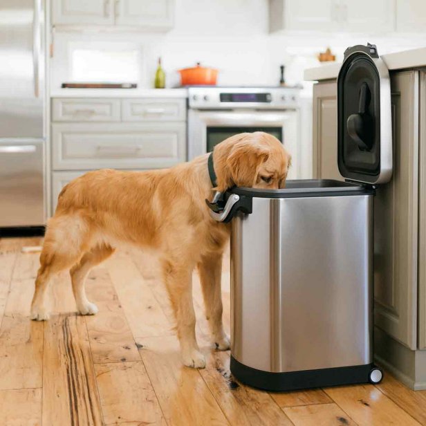 13 Best Kitchen Canisters and Dry Food Storage 2023 | HGTV