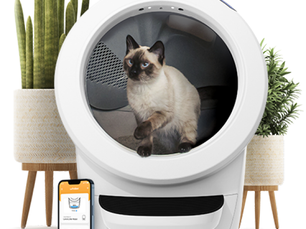 Litter Robot Review 2024 | Why I Love the Automated Litter Box by ...