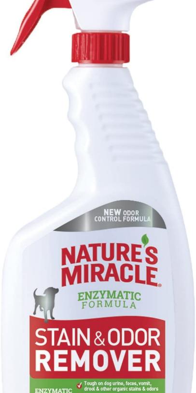 10 Quick Tips for Eliminating Pet Odors | HGTV