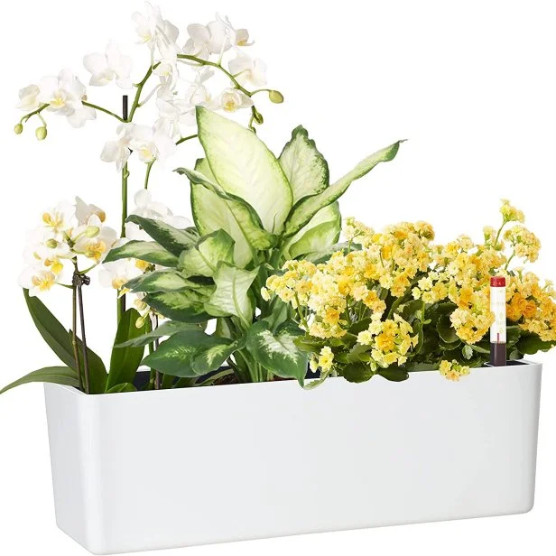 Best Self-Watering Planters and Pots for Homes, Decks and Patios | HGTV