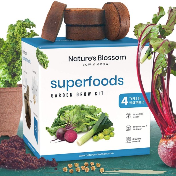 10 Best Garden Starter Kits on Amazon 2024 | HGTV