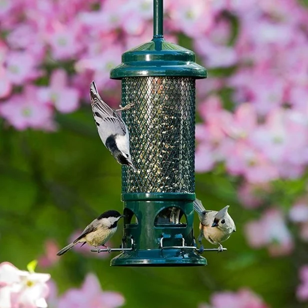 35 Best Bird Feeders in 2024 | HGTV