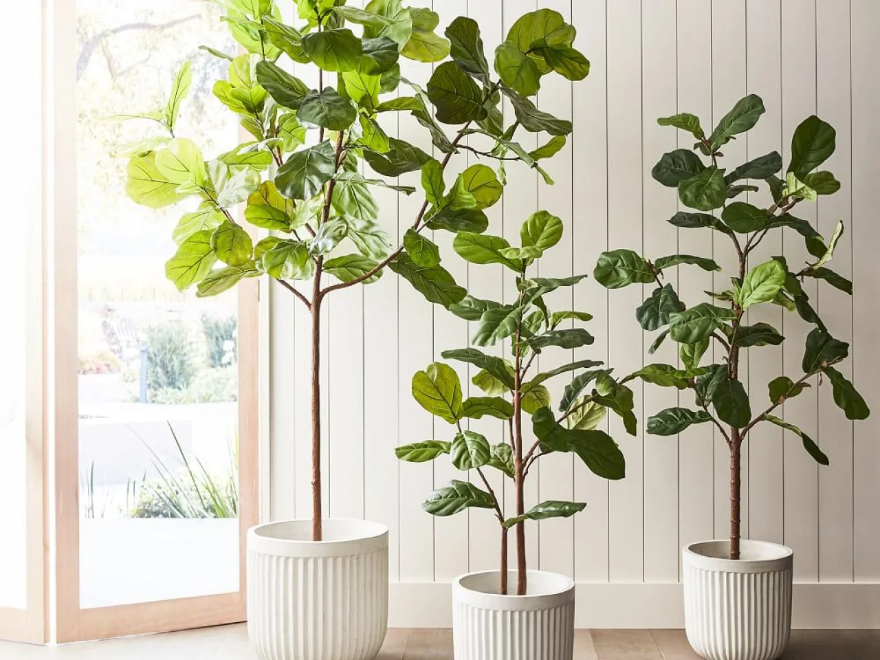 Fake indoor tree plants store