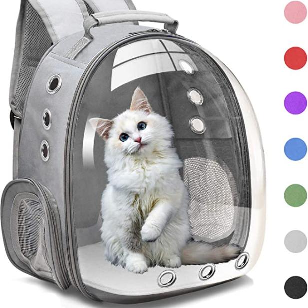 12 Best Cat Carriers of 2022 | HGTV