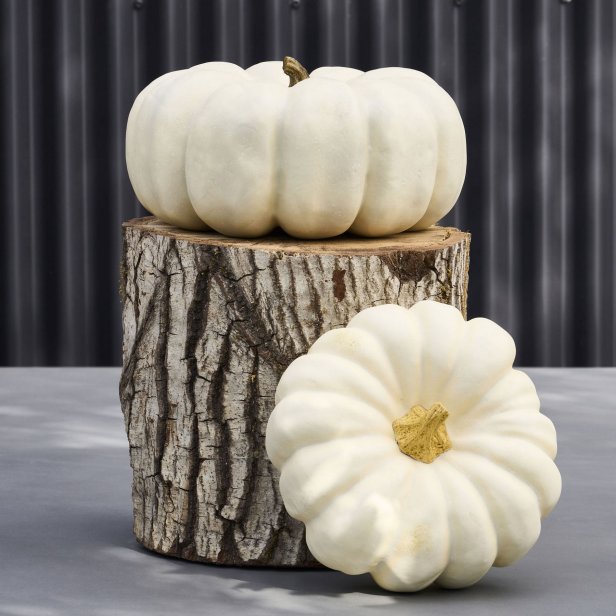 12 Best Faux Pumpkins for Every Room | HGTV