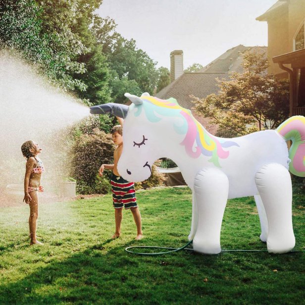 10 Best Inflatable Sprinklers 2024, HGTV Top Picks | HGTV