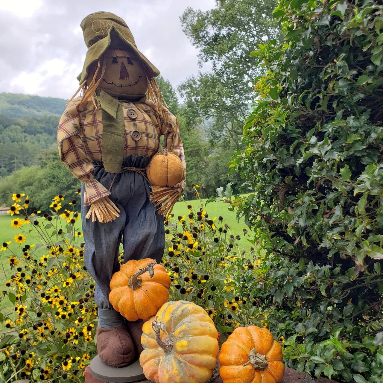 Creative Scarecrow Ideas