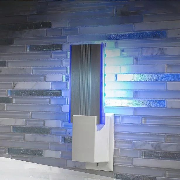 The 10 Best Indoor Fly Traps of 2024, HGTV Top Picks | HGTV