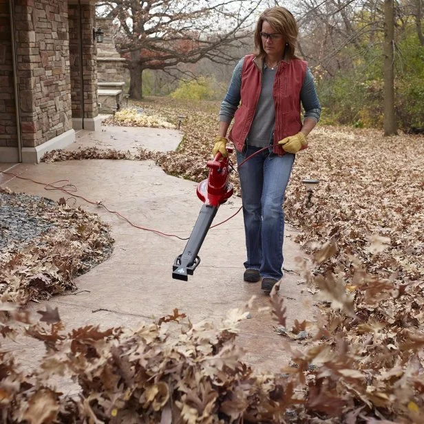 6 Best Leaf Blowers of 2024 Reviewed | HGTV