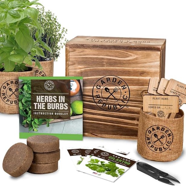 10 Best Garden Starter Kits on Amazon 2024 | HGTV