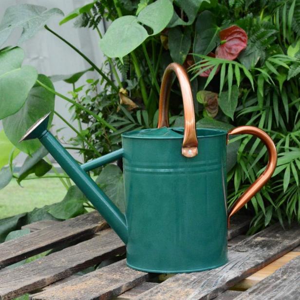 8 Best Watering Cans 2024 Reviewed | HGTV