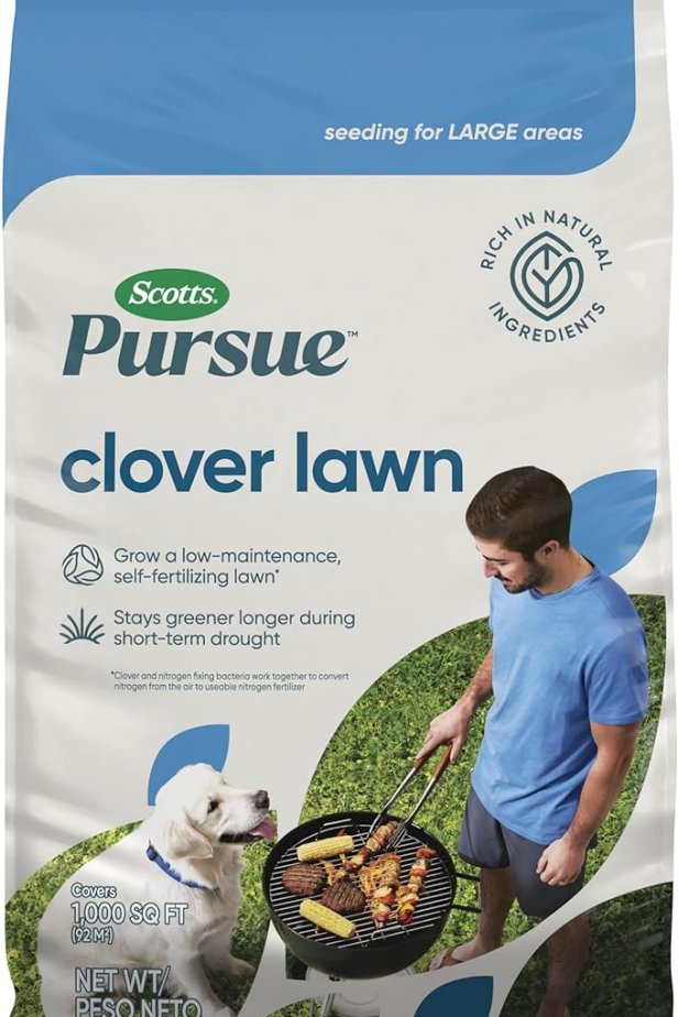 How to Rewild a Garden | HGTV