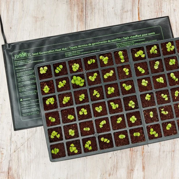 10 Best Seedling Heat Mats 2026 | HGTV
