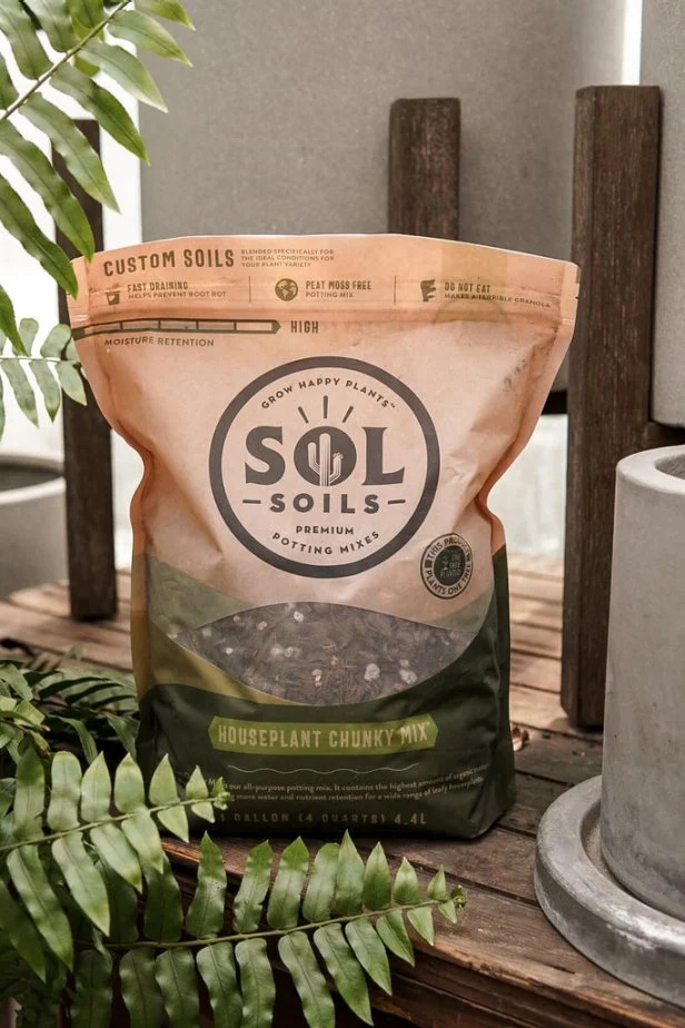 8 Best Potting Soils for Indoor Plants 2026 | HGTV