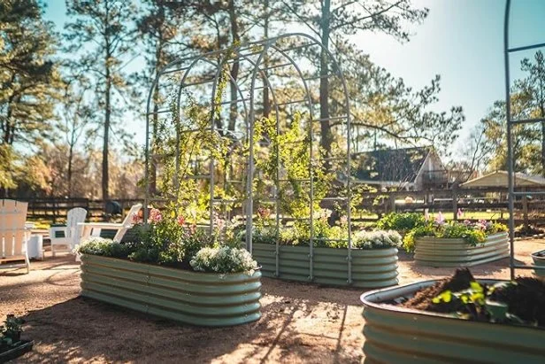 21 Best Raised Bed Planter Kits 2026 | HGTV
