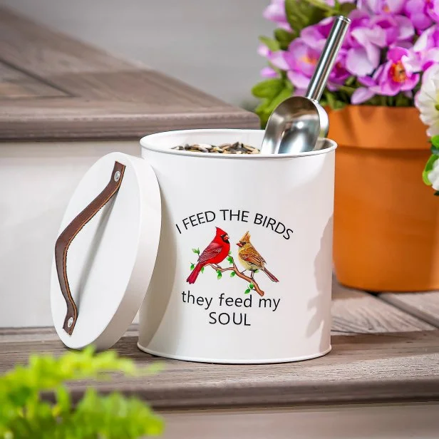 Best Birding Accessories for Your Yard 2026 | HGTV