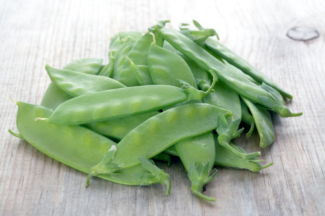 Planting Fall Peas | HGTV