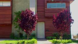 Modern Roman Bath House Video | HGTV