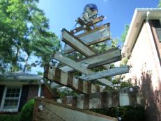 13 Flowering Trees for Year-Round Color | HGTV