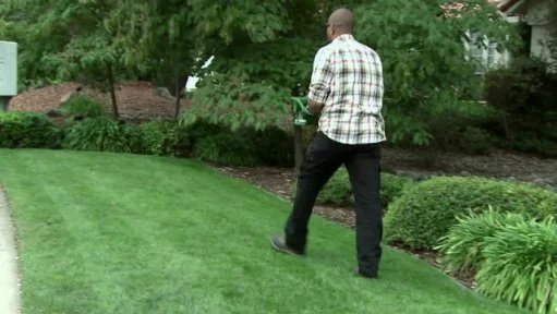 Basic lawn maintenance store