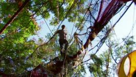 Building a Backyard Tree Fort Video | HGTV