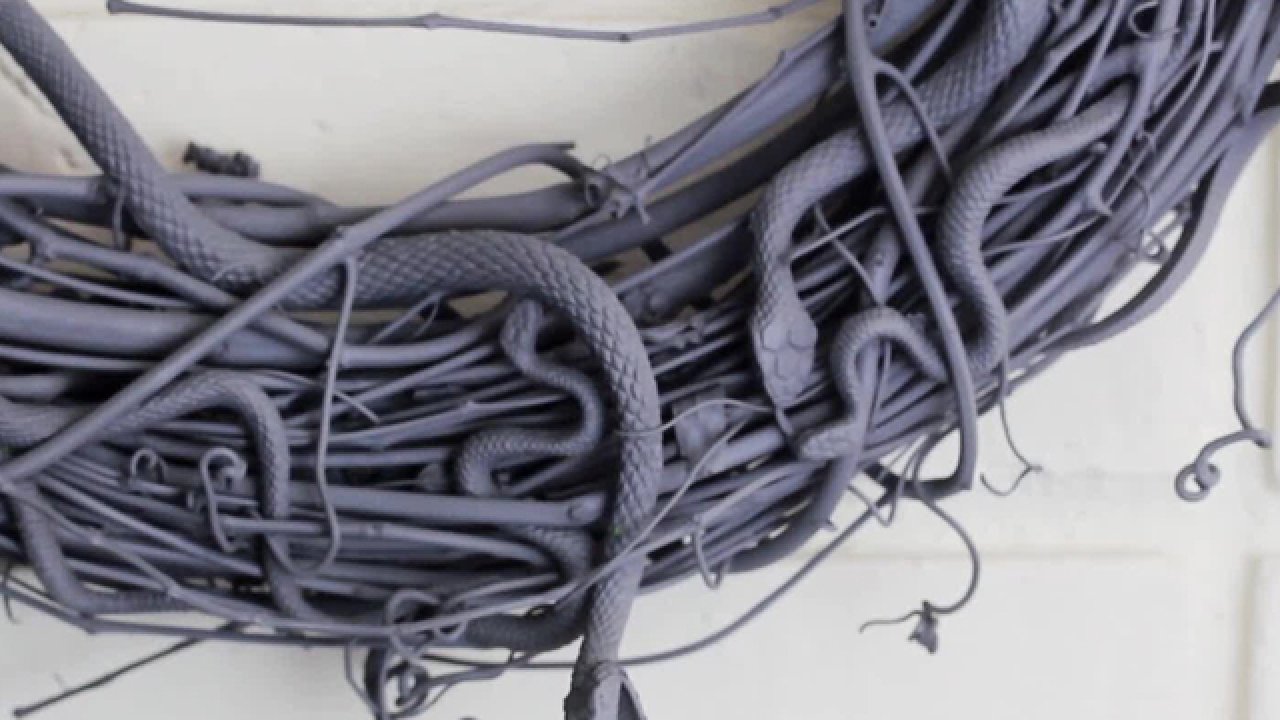 DIY Rubber Snake Halloween Wreath | HGTV