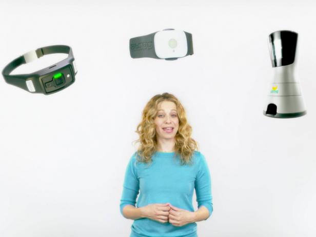 High-Tech Pet Gadgets for Tracking and "Talking to" Your Pet Video | HGTV