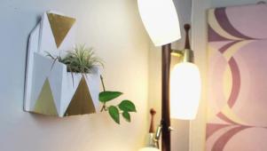 Meg Allan Cole | HGTV