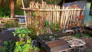 House Hunters Off the Grid | HGTV