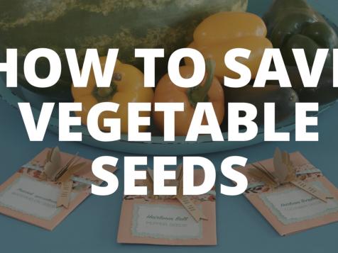 Seeds: Tips on Planting and Growing from Seeds | HGTV