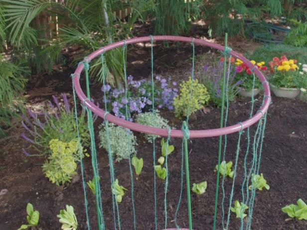 How to Use Hula Hoops in the Garden Video | HGTV