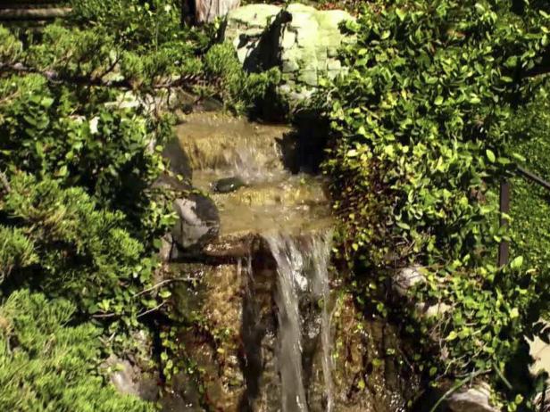 Extravagant Backyard Video | HGTV