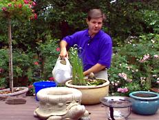 Water Feature Design ideas | HGTV
