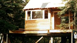 Building a Backyard Tree Fort Video | HGTV